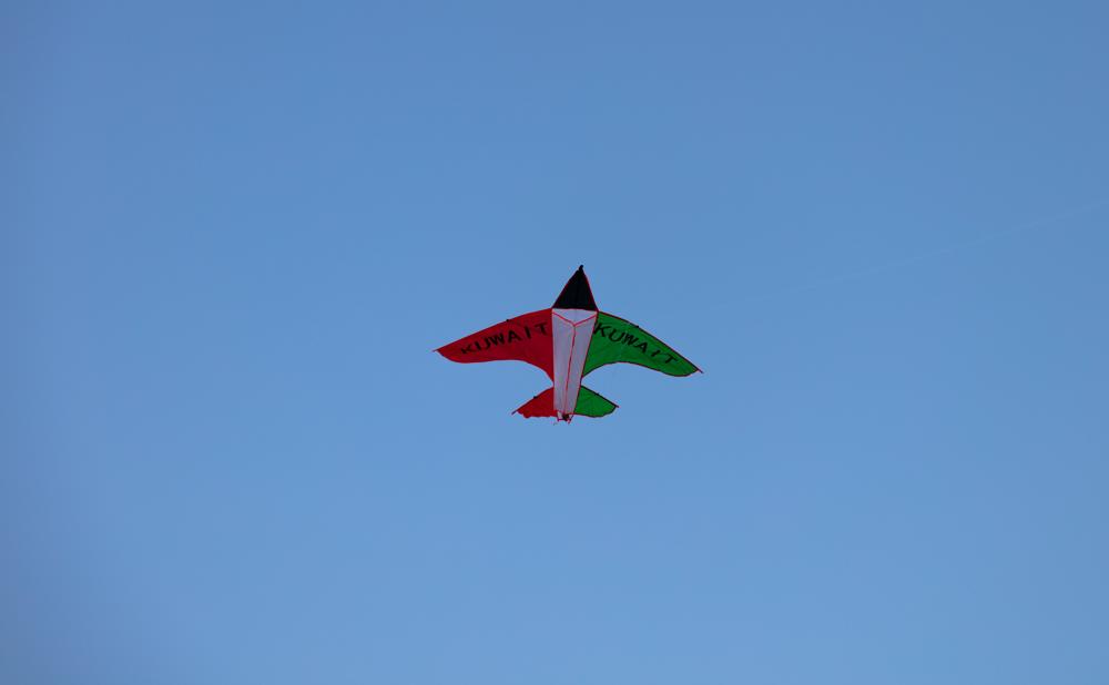 "Kite: Co to znaczy po polsku i jak używać tego słowa?" - surfowanie.pl